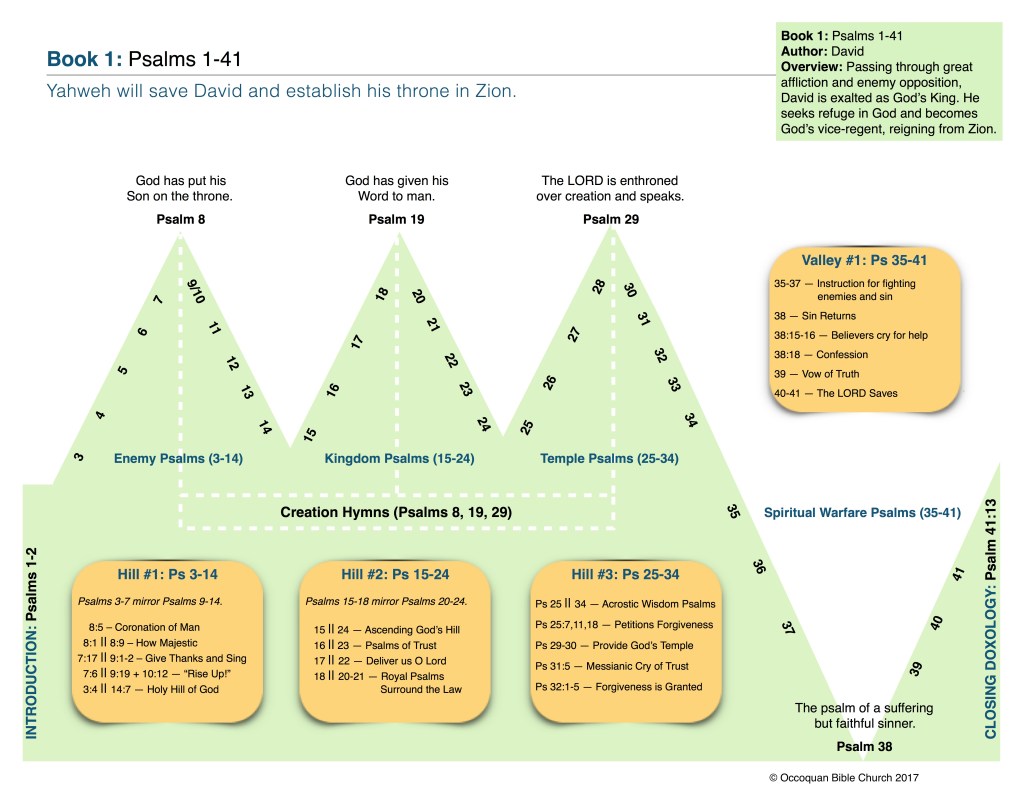 Resources for Reading the Psalms Canonically | Via Emmaus